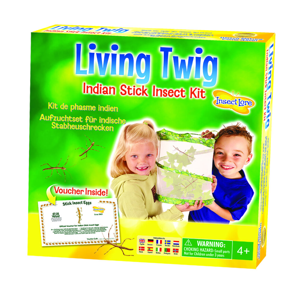 Living Twig / Stick Insect Kit - The Mad Hatter